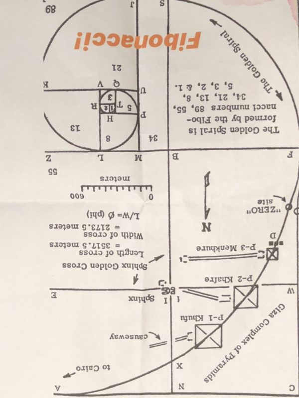 Articles - Wellness Energetics